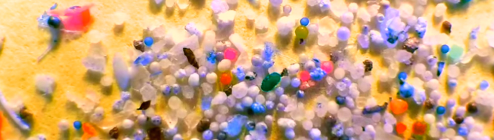 US phases out plastic microbeads from personal care products from July 2017